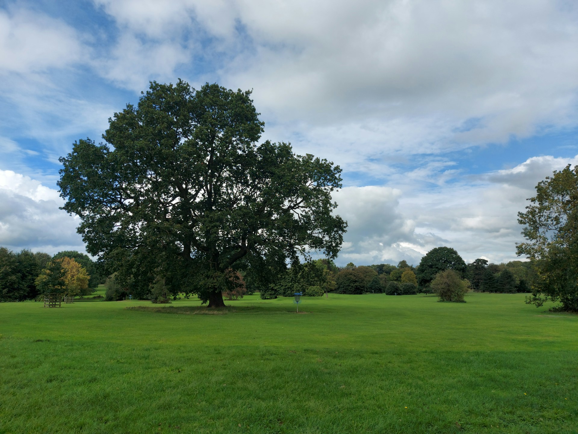 Mulching for Scenic Views and Sustainable Planting | WLM